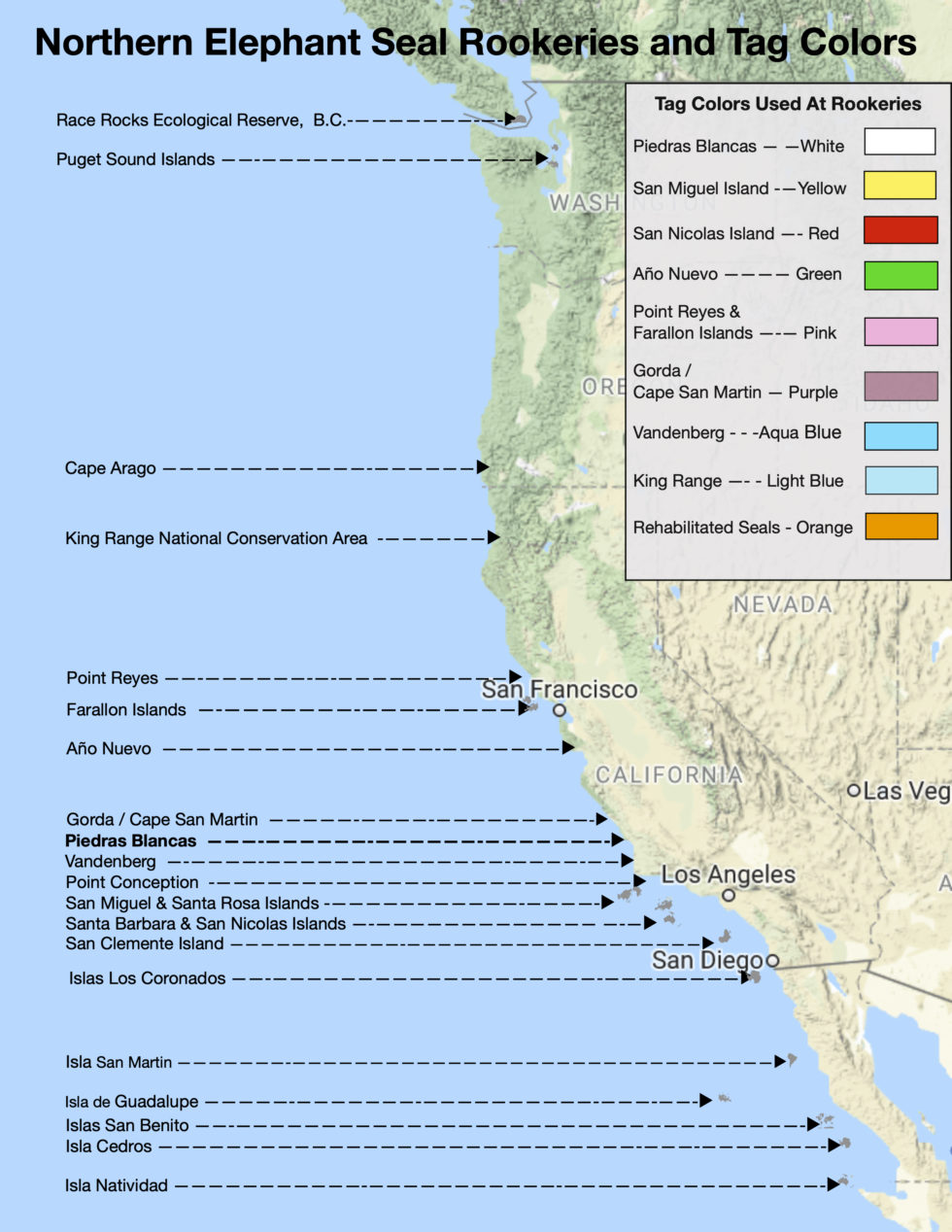 Where Do Elephant Seals Live? | Friends of the Elephant Seal
